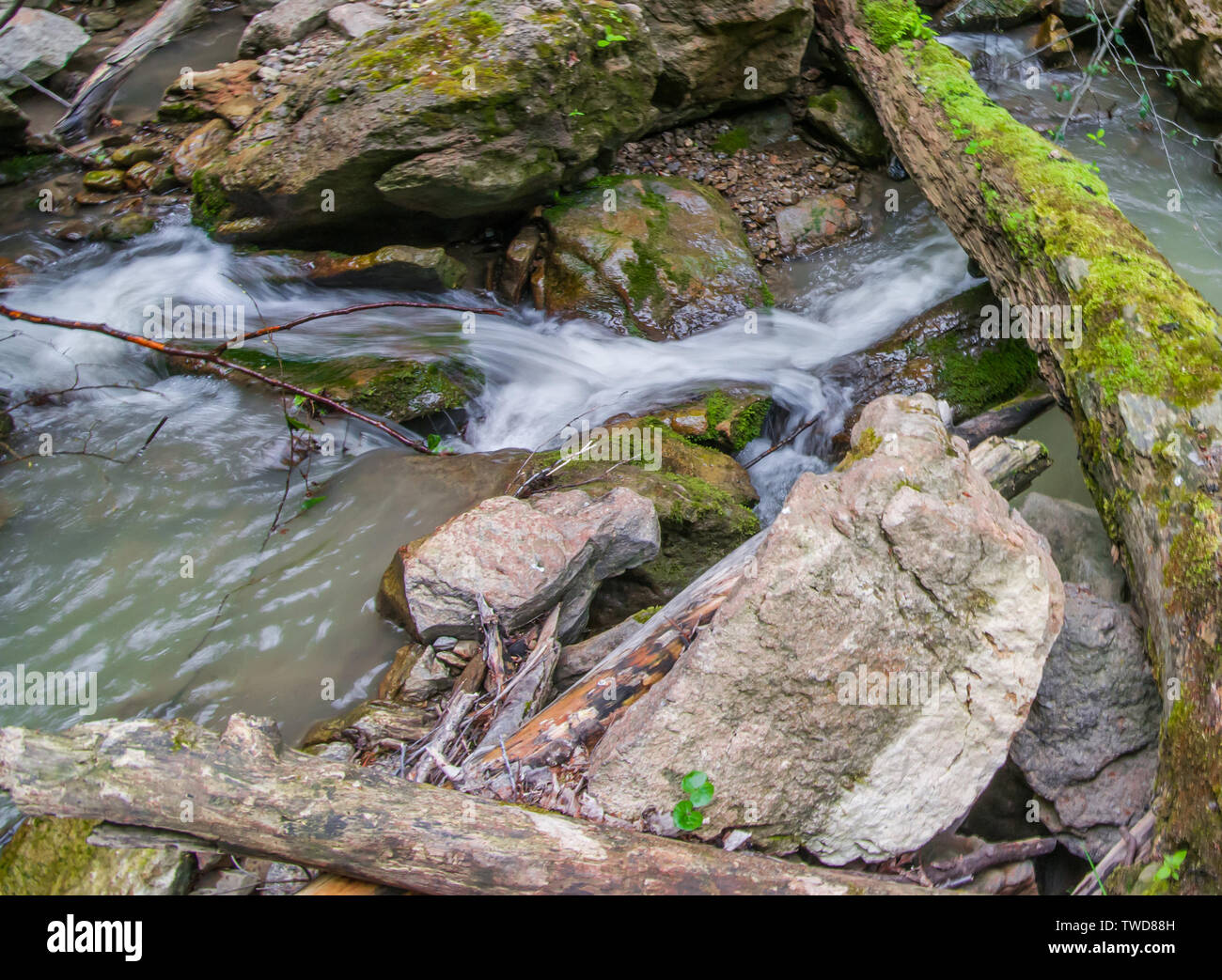 Rocks and logs in the bed of a mountain stream. Selective focus Stock ...