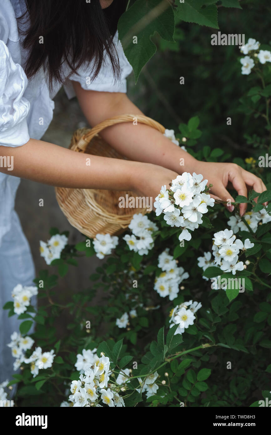 Women carrying flower baskets hi-res stock photography and images - Alamy