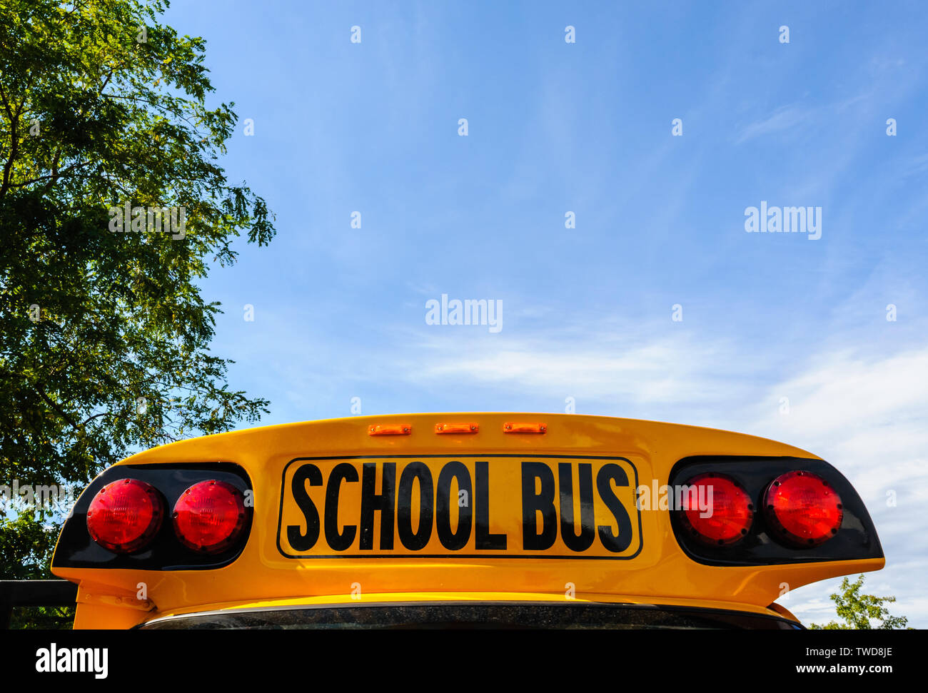 Upper front of yellow school bus lights and sign with trees nearby ...