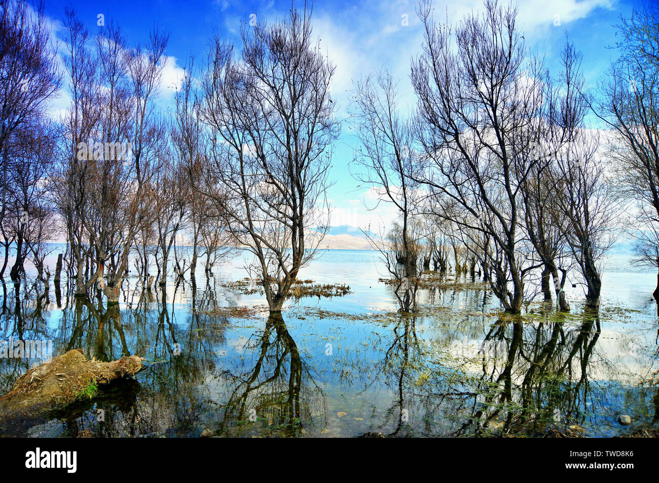 Erhai park hi-res stock photography and images - Alamy