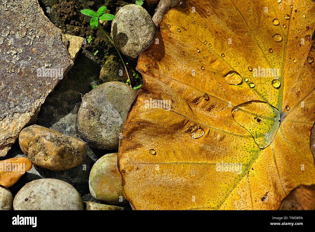 Abstract water feature hi-res stock photography and images - Alamy
