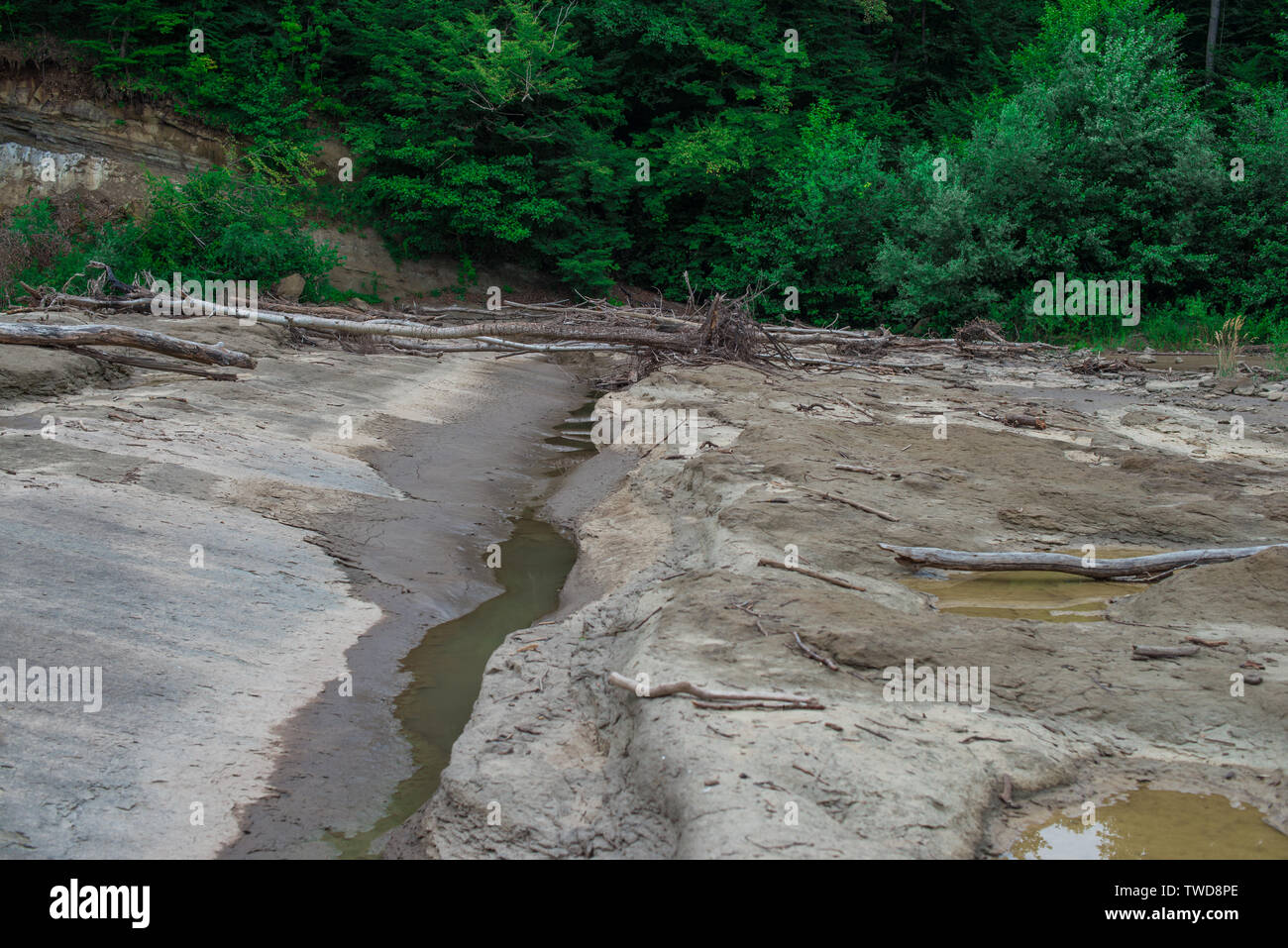 Mud bottom shallow during the dry period of the river Stock Photo - Alamy