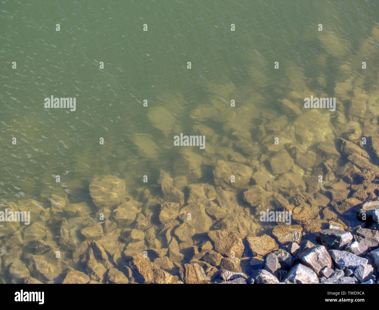 Shoaling High Resolution Stock Photography and Images - Alamy