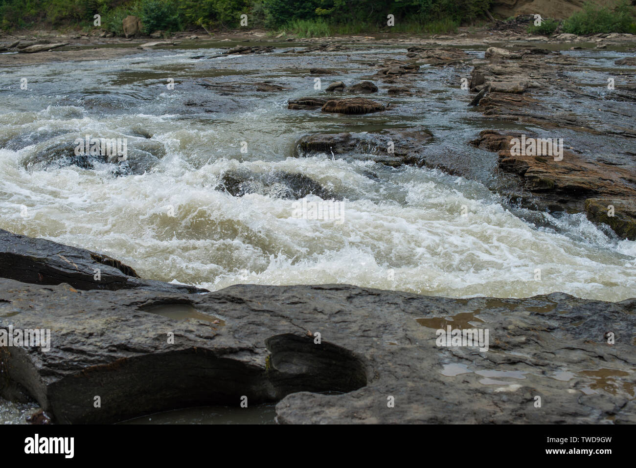 Shallow stone rapids of a mountain river Stock Photo - Alamy