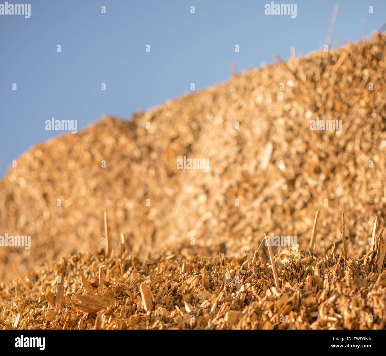 Stick sticks sticking out hi-res stock photography and images - Alamy
