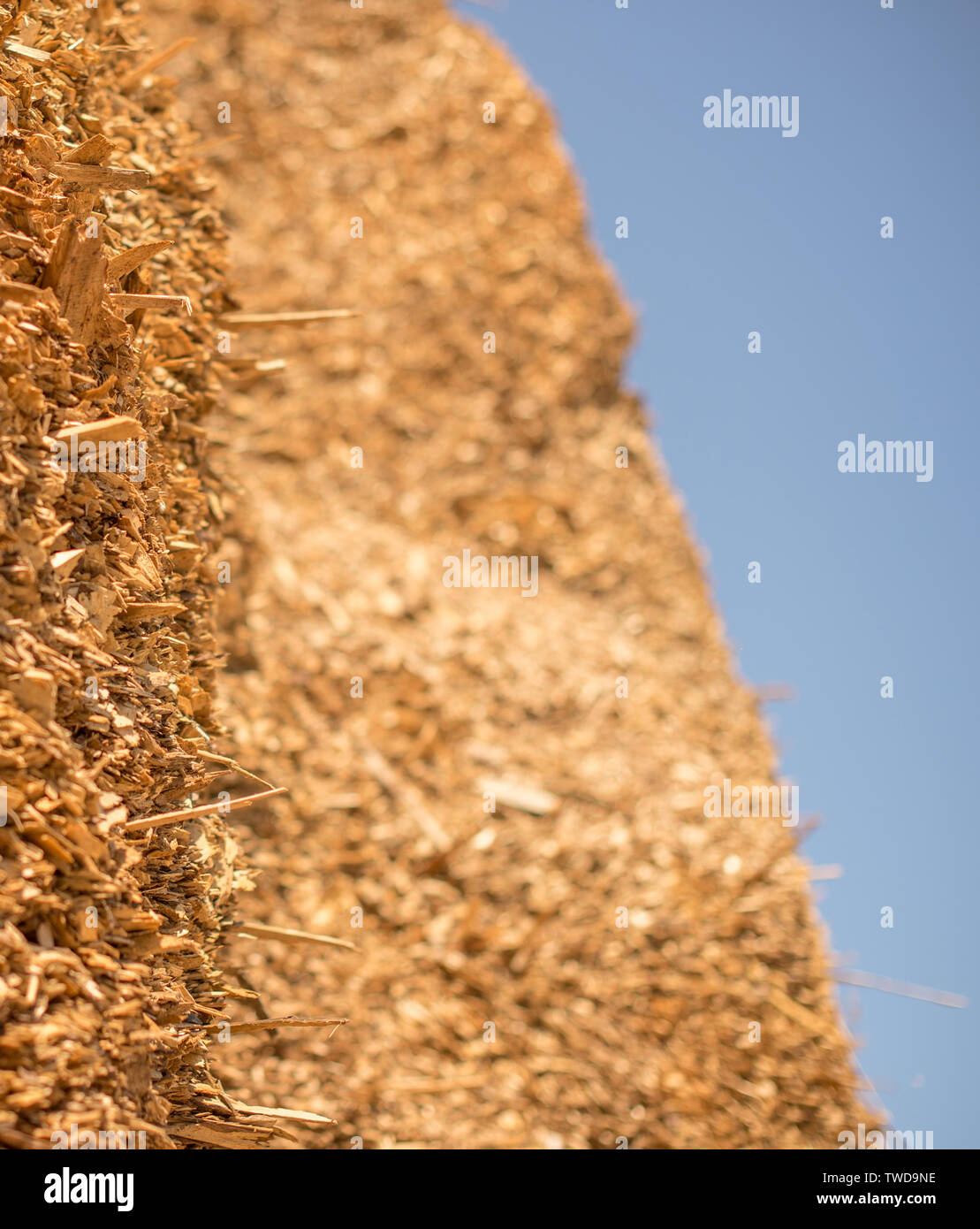 Stick sticks sticking out hi-res stock photography and images - Alamy
