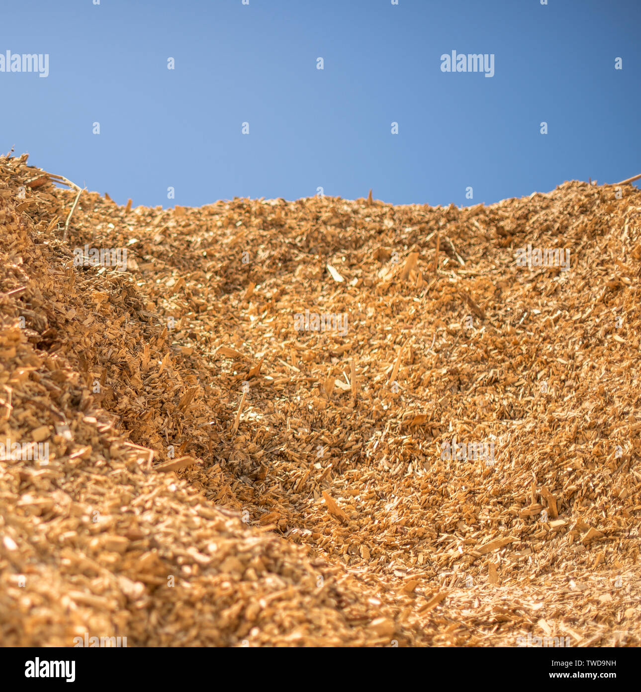 Stick sticks sticking out hi-res stock photography and images - Alamy