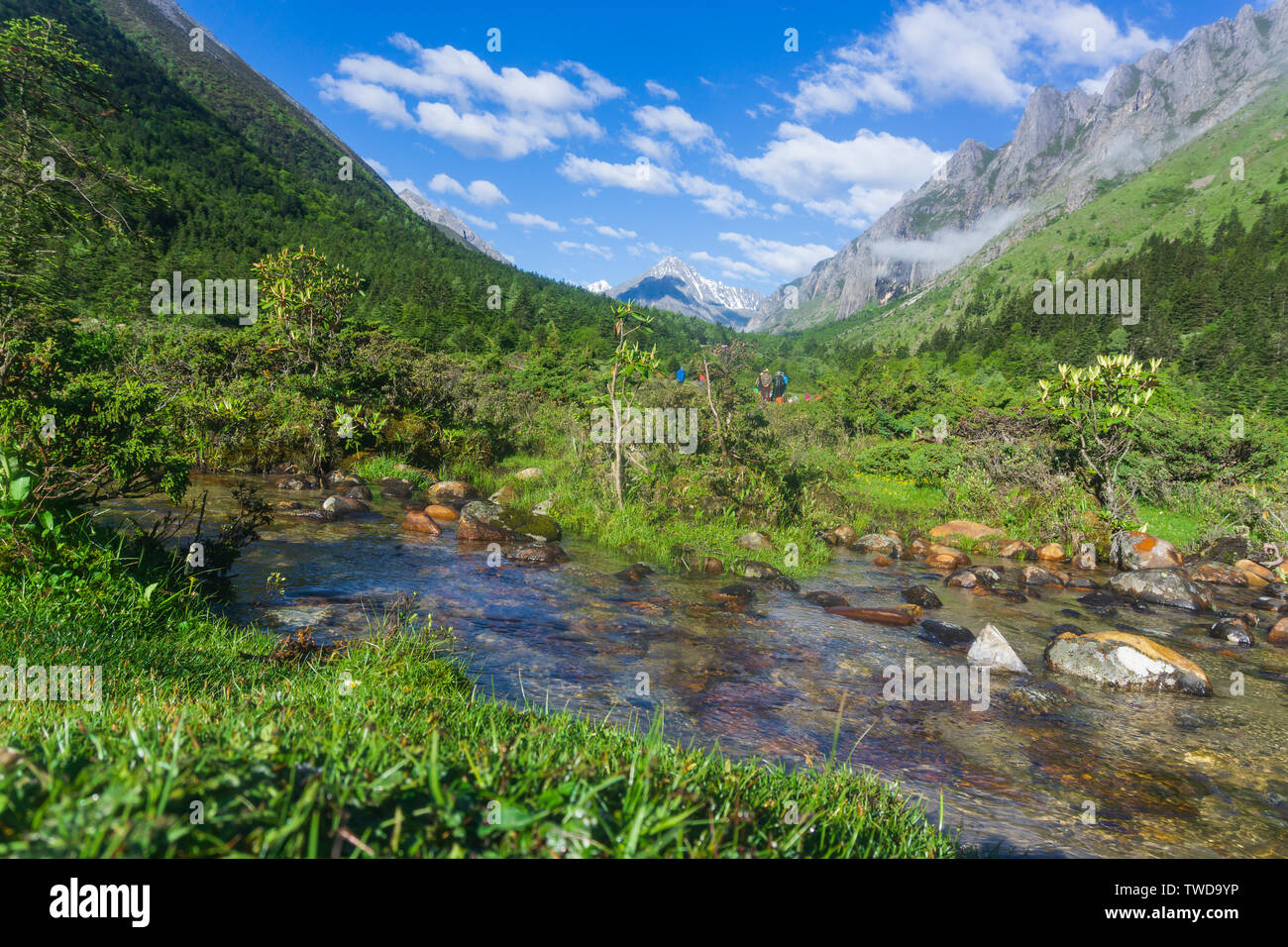 Gonga hi-res stock photography and images - Alamy