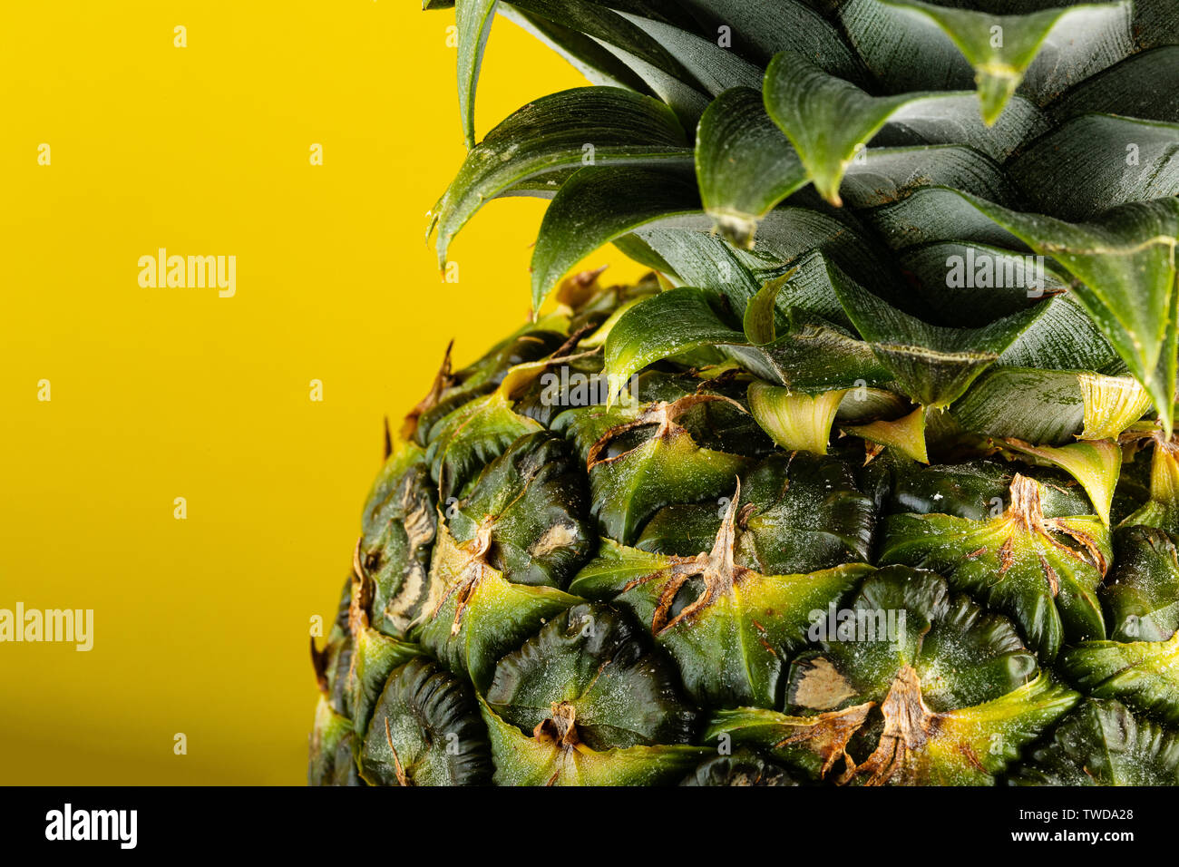 Close up of a pineapple top and leaves with a non-descript yellow hue ...