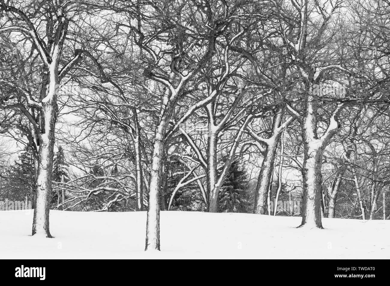 Dominique braud Black and White Stock Photos & Images - Alamy