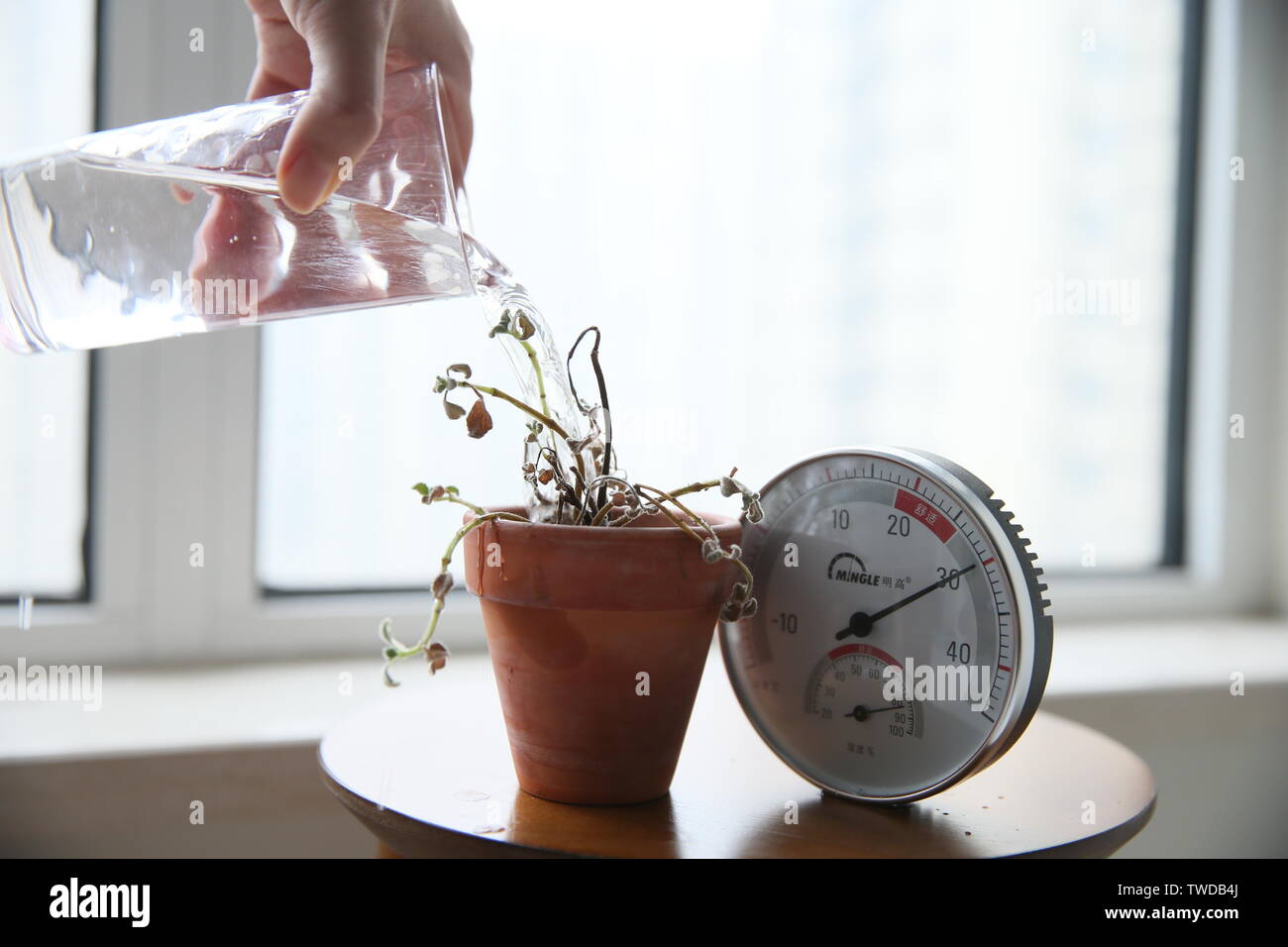 Watering plants winter hi-res stock photography and images - Alamy