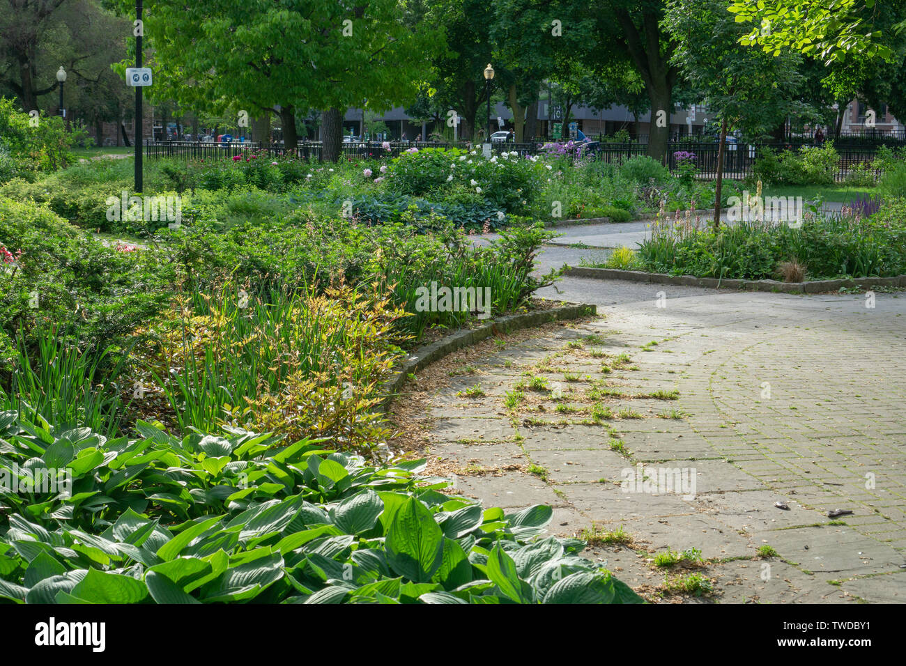 Nature of allen gardens hi-res stock photography and images - Alamy