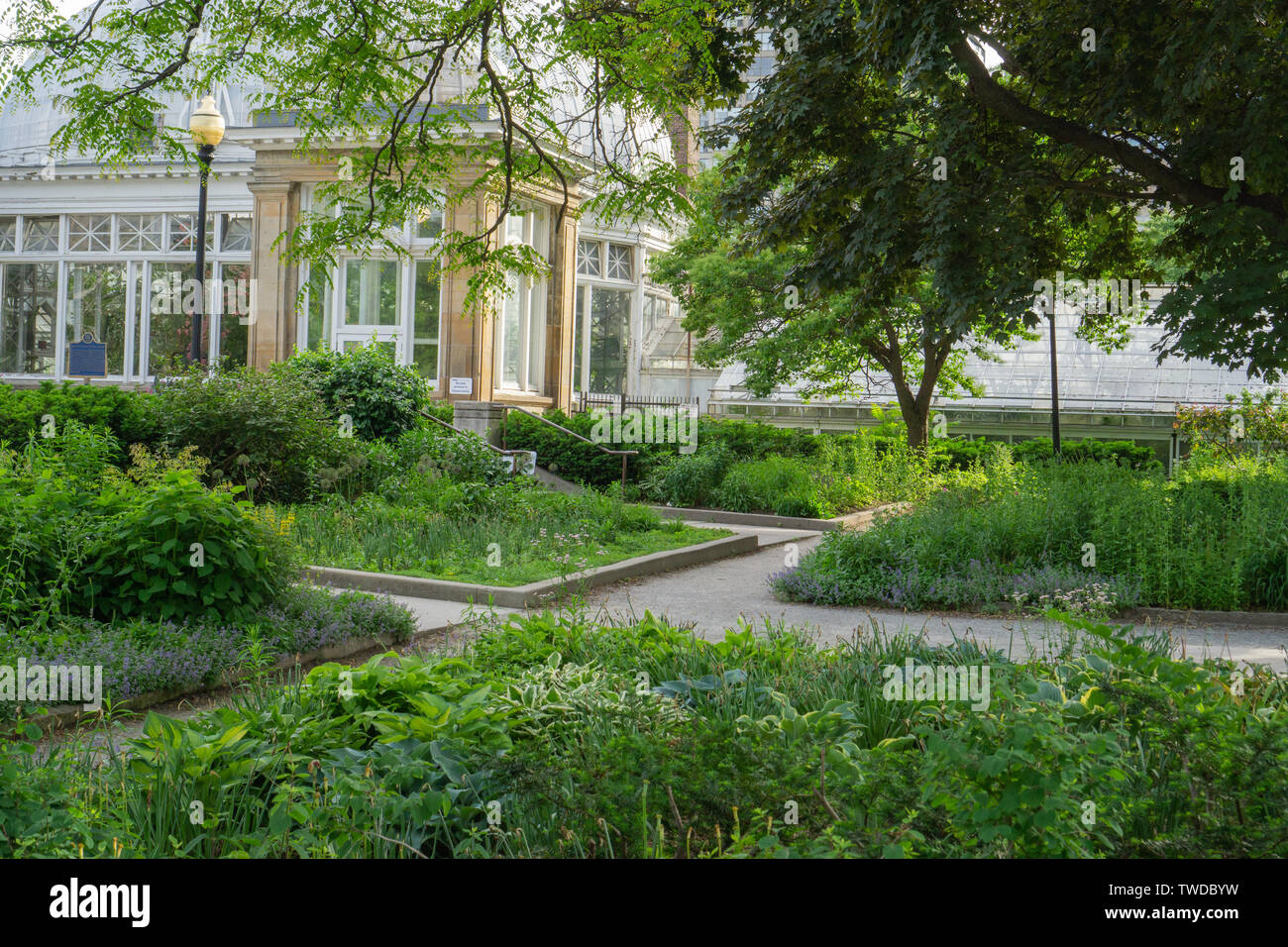 Nature Of Allen Gardens High Resolution Stock Photography and Images ...