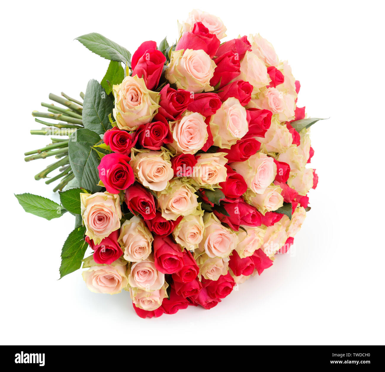 Big bunch of beautiful red and pink roses on wit background with shadow ...