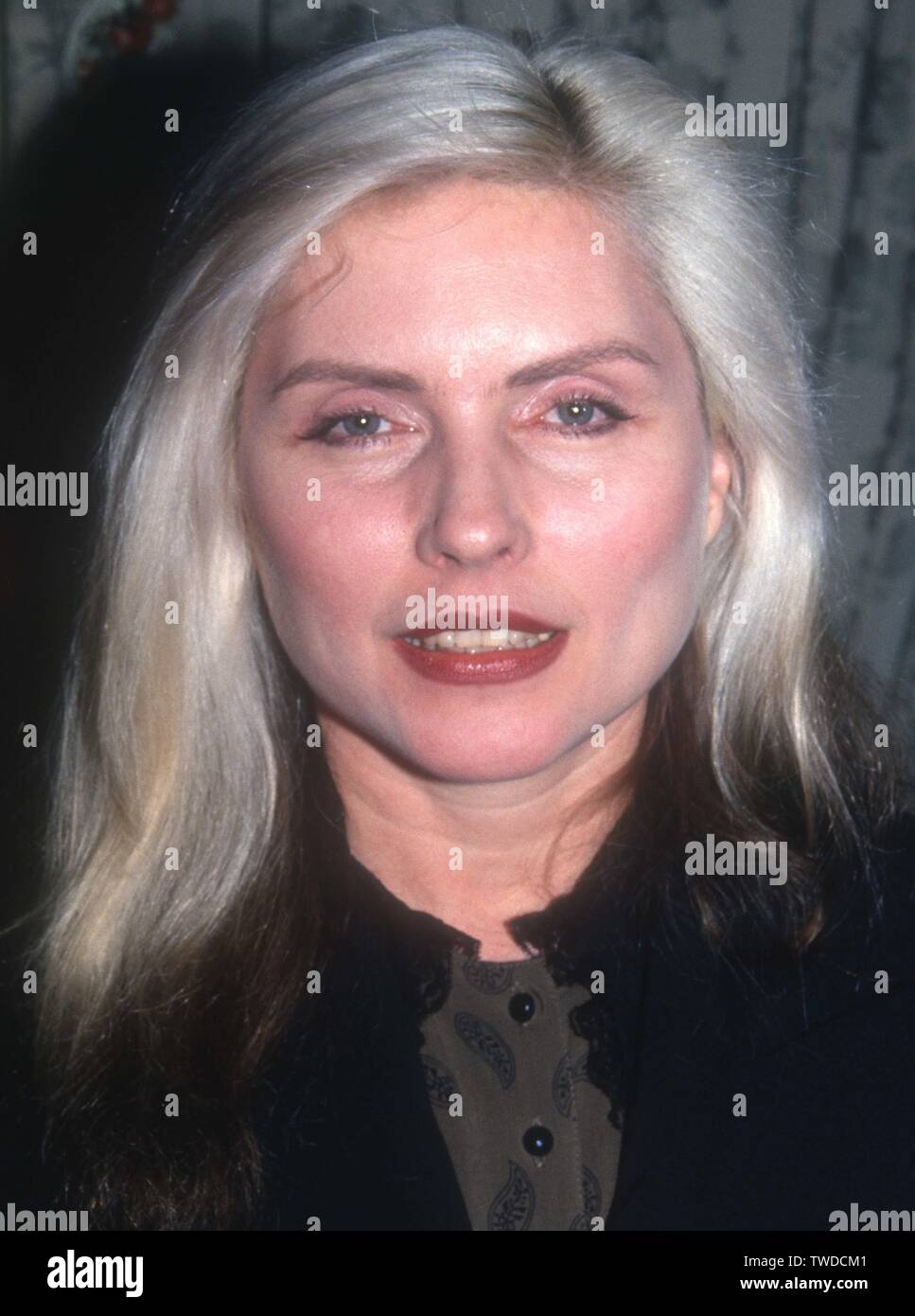 Debbie Harry 1991Photo By John Barrett/PHOTOlink.net / MediaPunch Stock ...