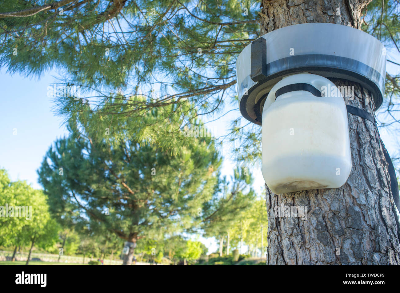 Caterpillar trap hi-res stock photography and images - Alamy