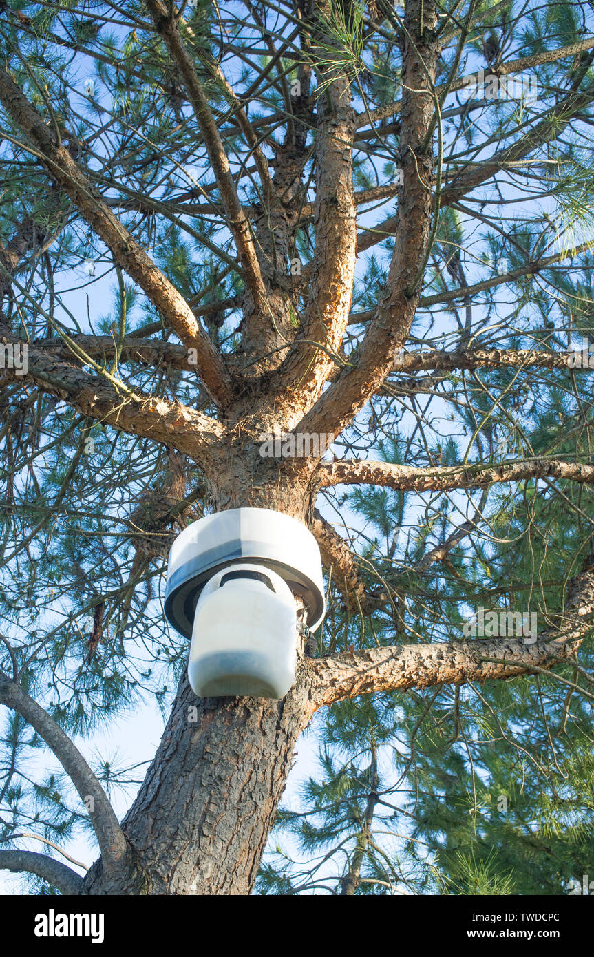 Biological trap hi-res stock photography and images - Alamy