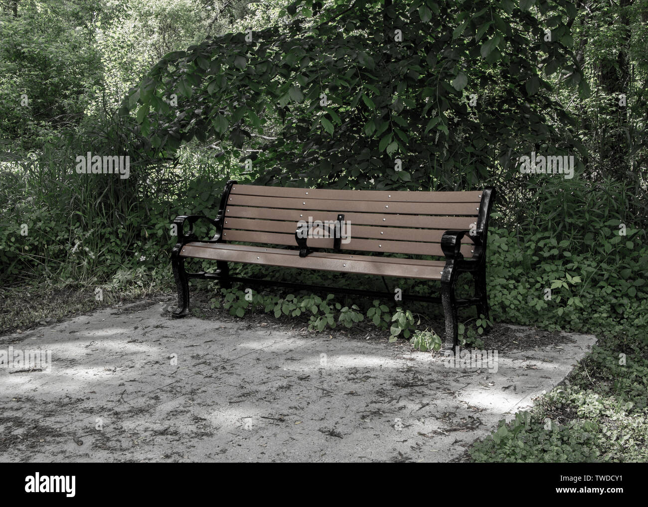 bench at the park - faded colours Stock Photo - Alamy