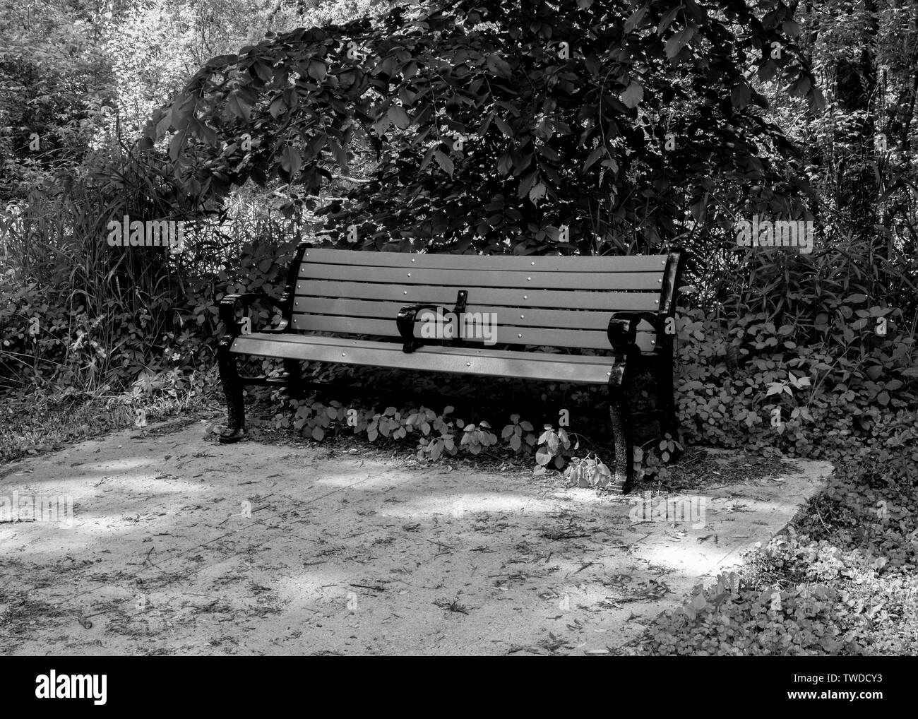 Beautiful garden seating Black and White Stock Photos & Images - Alamy