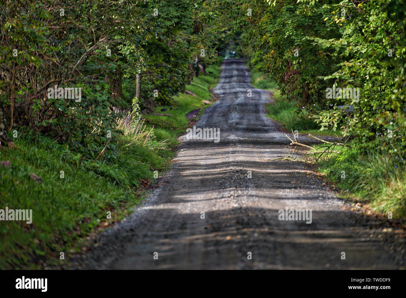 Unison virginia hi-res stock photography and images - Alamy