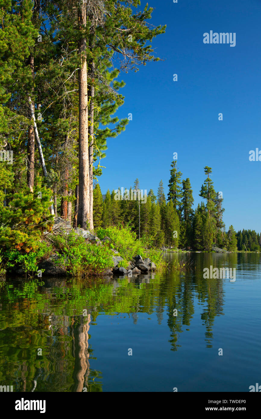 Crane Prairie Reservoir, Cascade Lakes National Scenic Byway, Deschutes ...