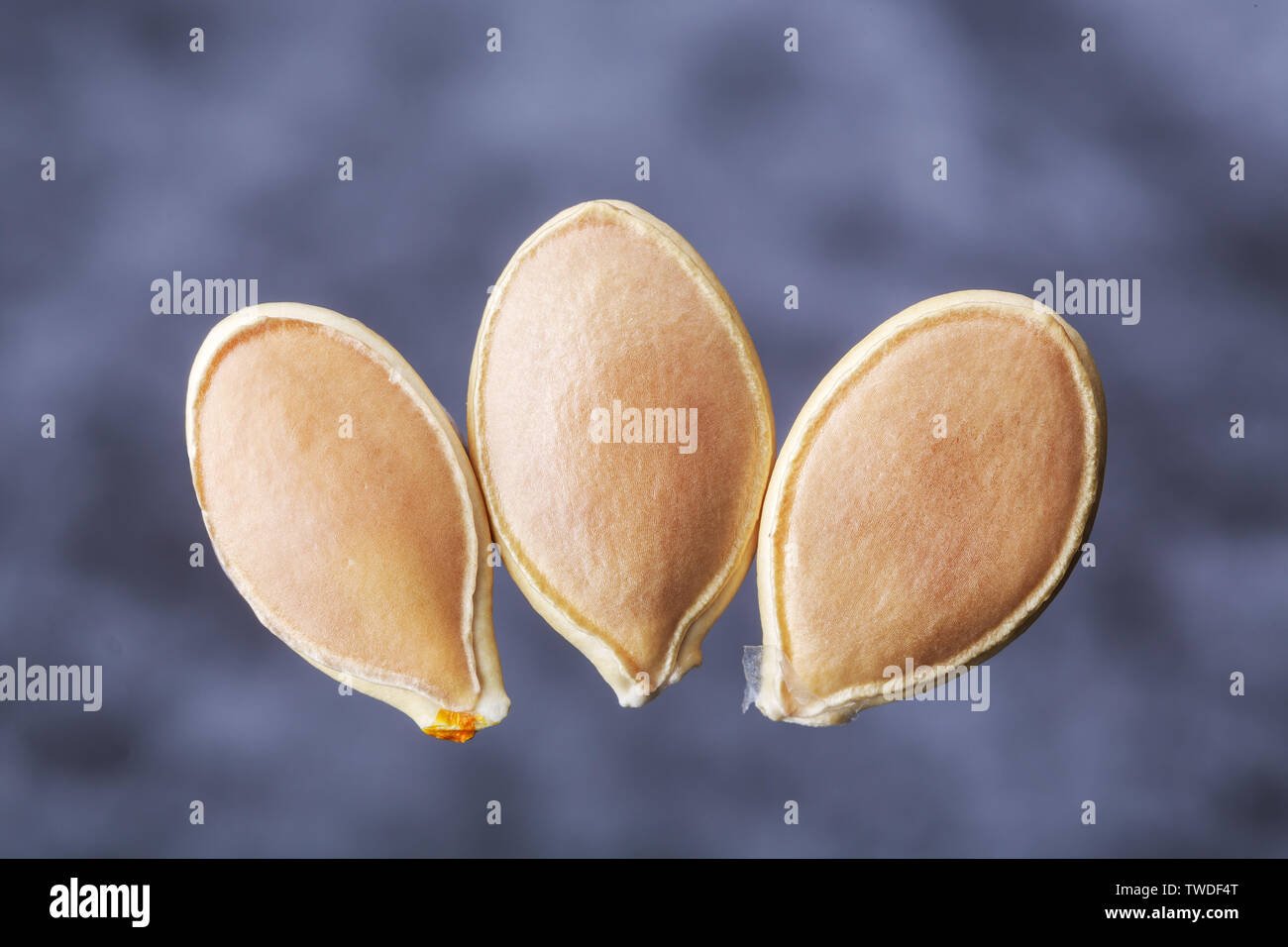 Shelled melon seeds hi-res stock photography and images - Alamy