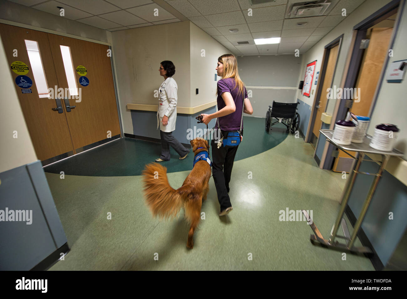 Child life specialist hi-res stock photography and images - Alamy