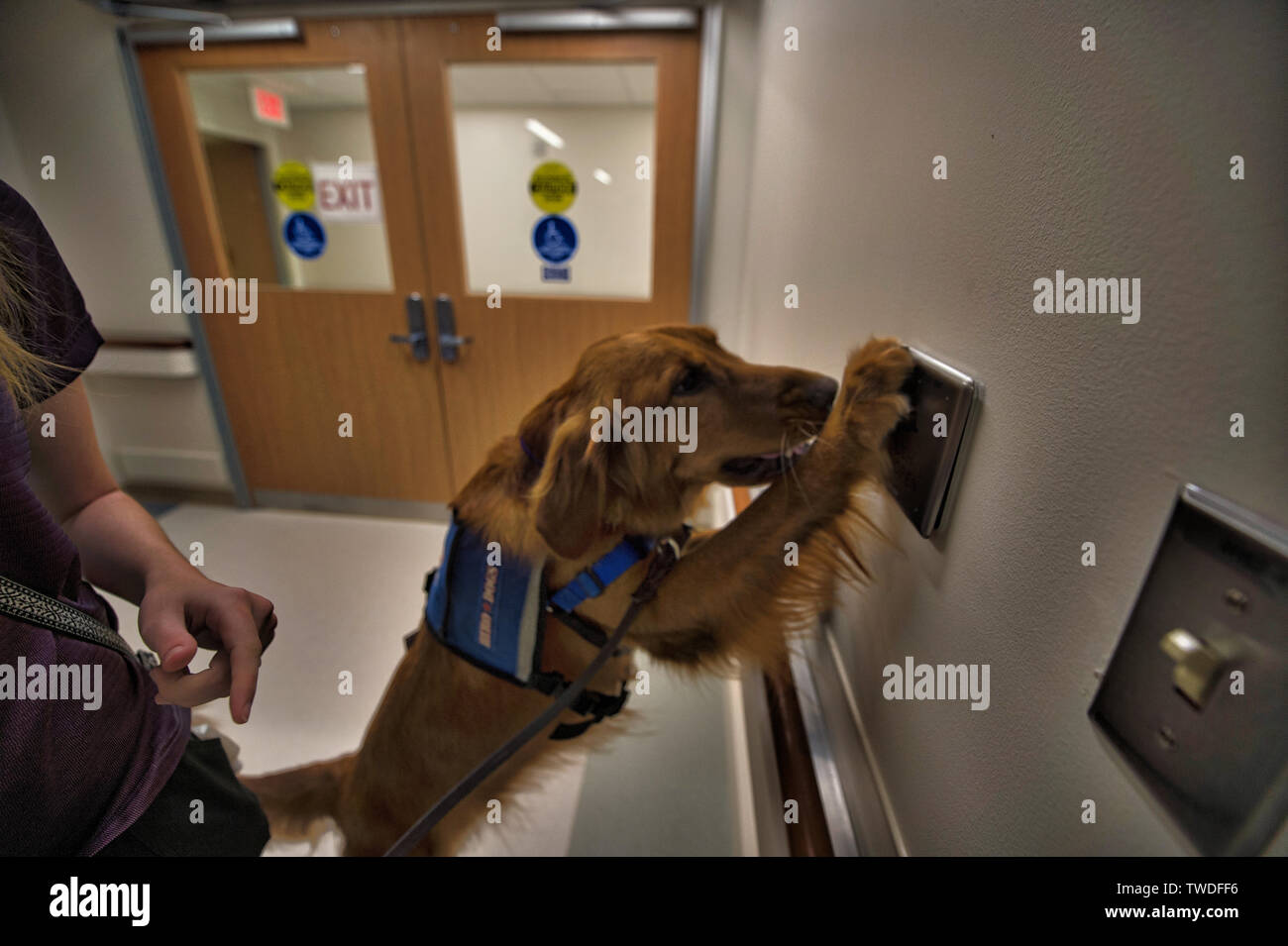 Child life specialist hi-res stock photography and images - Alamy