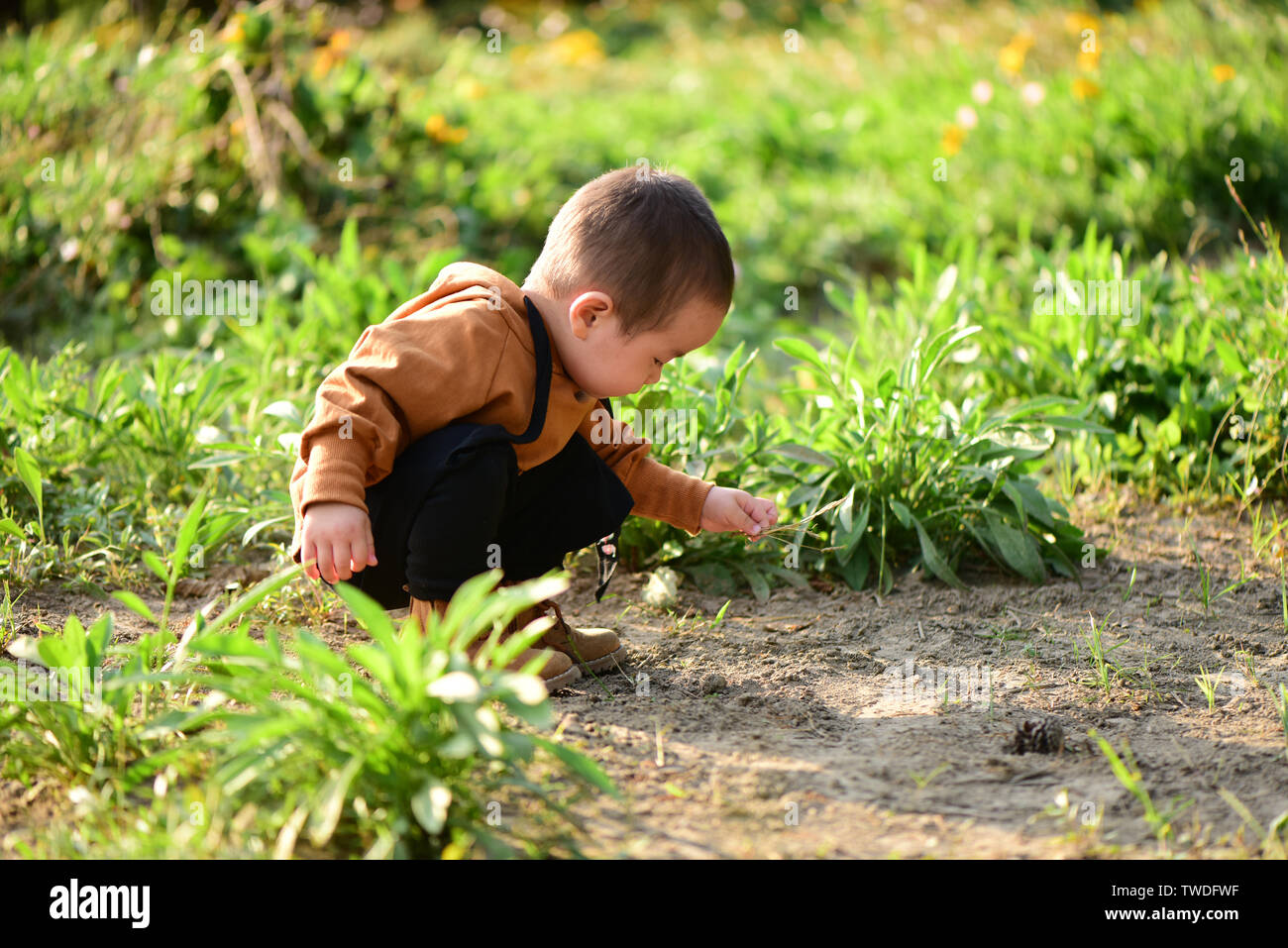Little boy in the bushes Stock Photo - Alamy