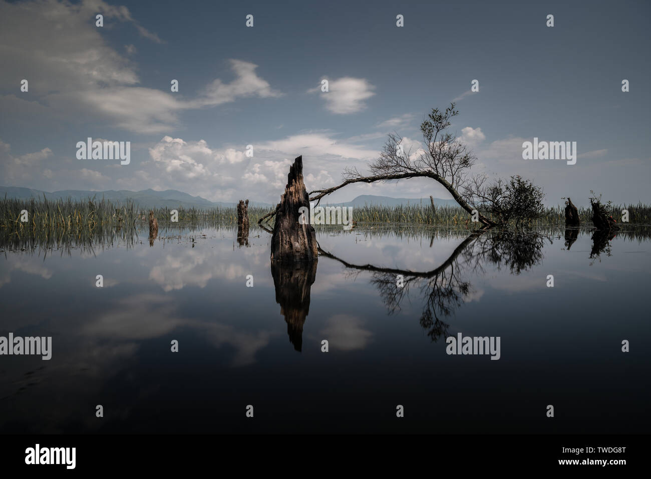 Calm water and reflection Stock Photo - Alamy