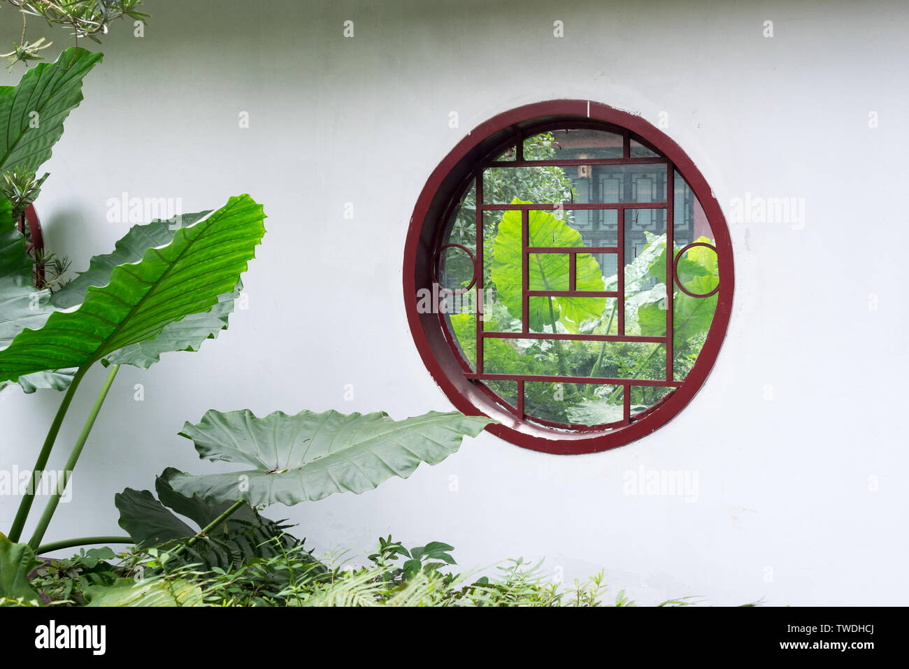 Plant and Traditional Garden Window of Baihuatan Park in Chengdu ...