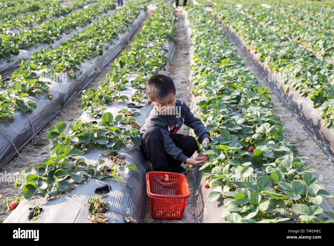 Pick interaction hi-res stock photography and images - Alamy