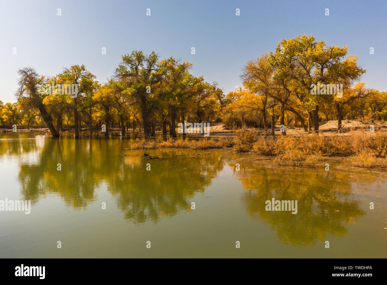 Reflection of the surface of the blue sky in the Alashan Desert Stock ...