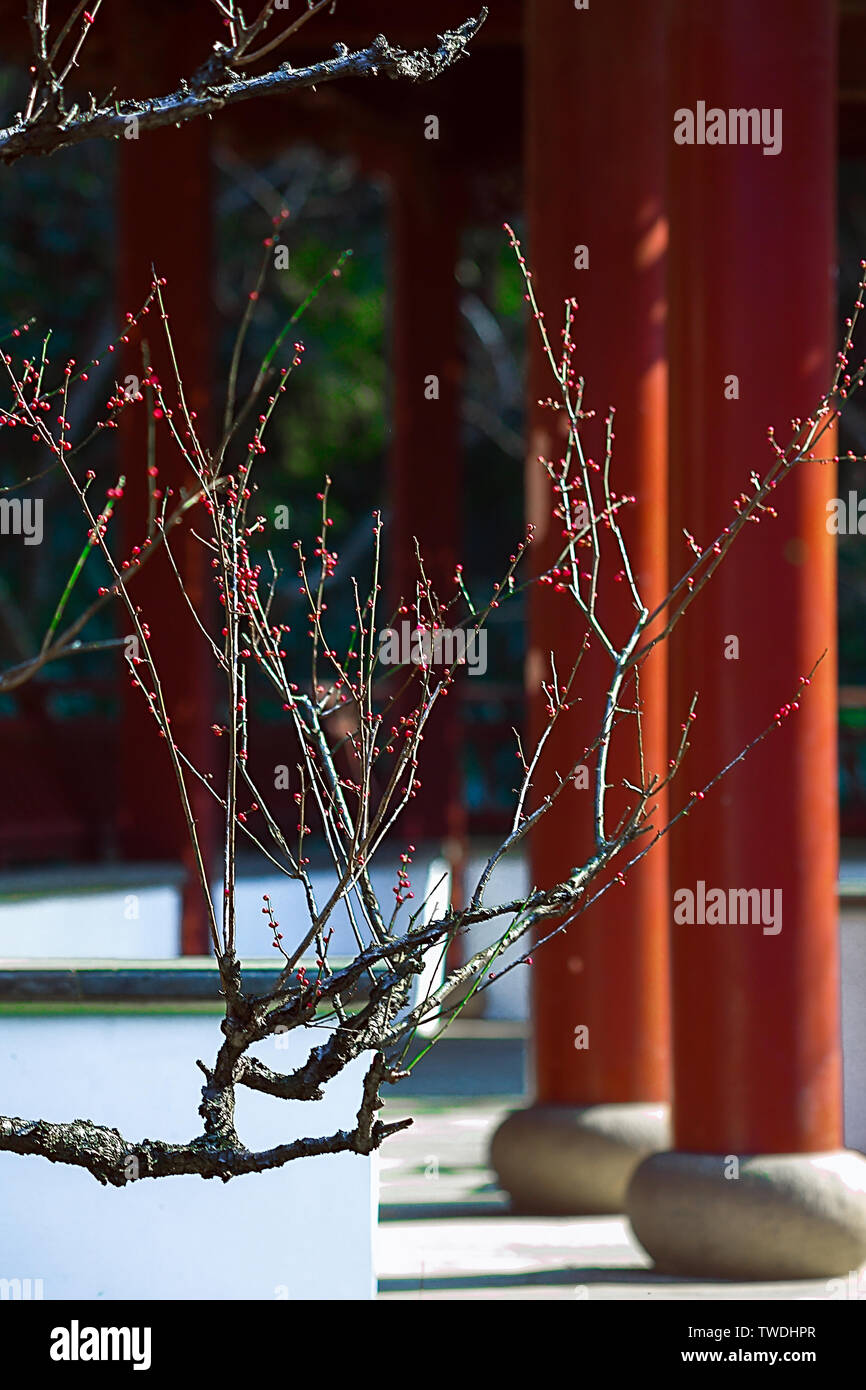Nanjing Yuhuatai Scenic Area Mei Gang Stock Photo - Alamy