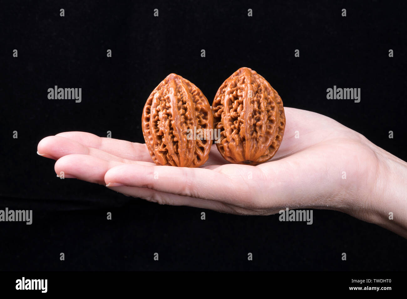 Lion head walnut hi-res stock photography and images - Alamy