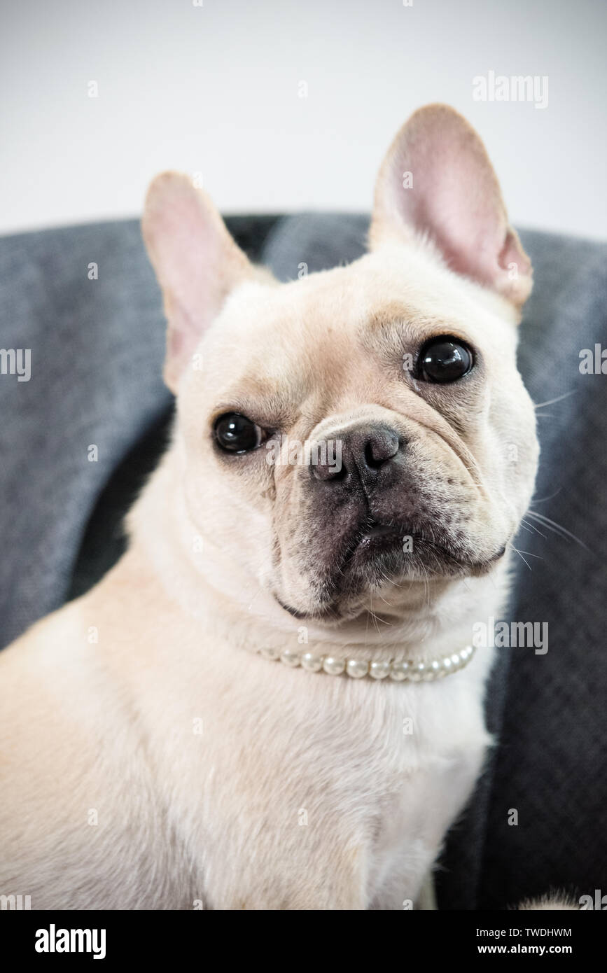 Sprouting magic fight portrait Stock Photo - Alamy
