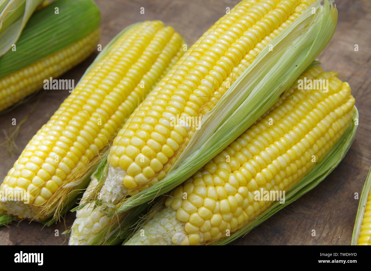Cultivating maize hi-res stock photography and images - Alamy