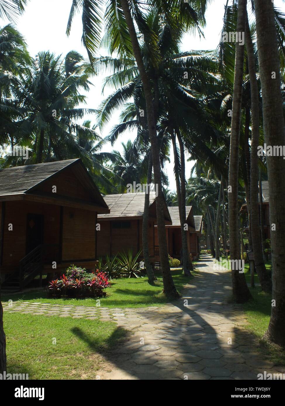 Hainan island rainforest hi-res stock photography and images - Alamy