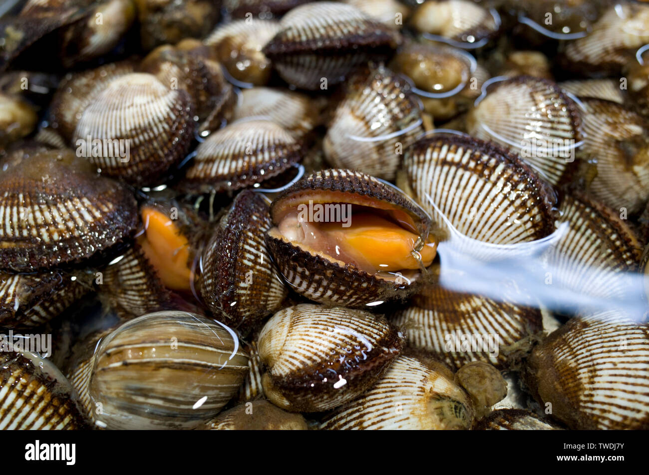 Clam boil hi-res stock photography and images - Alamy