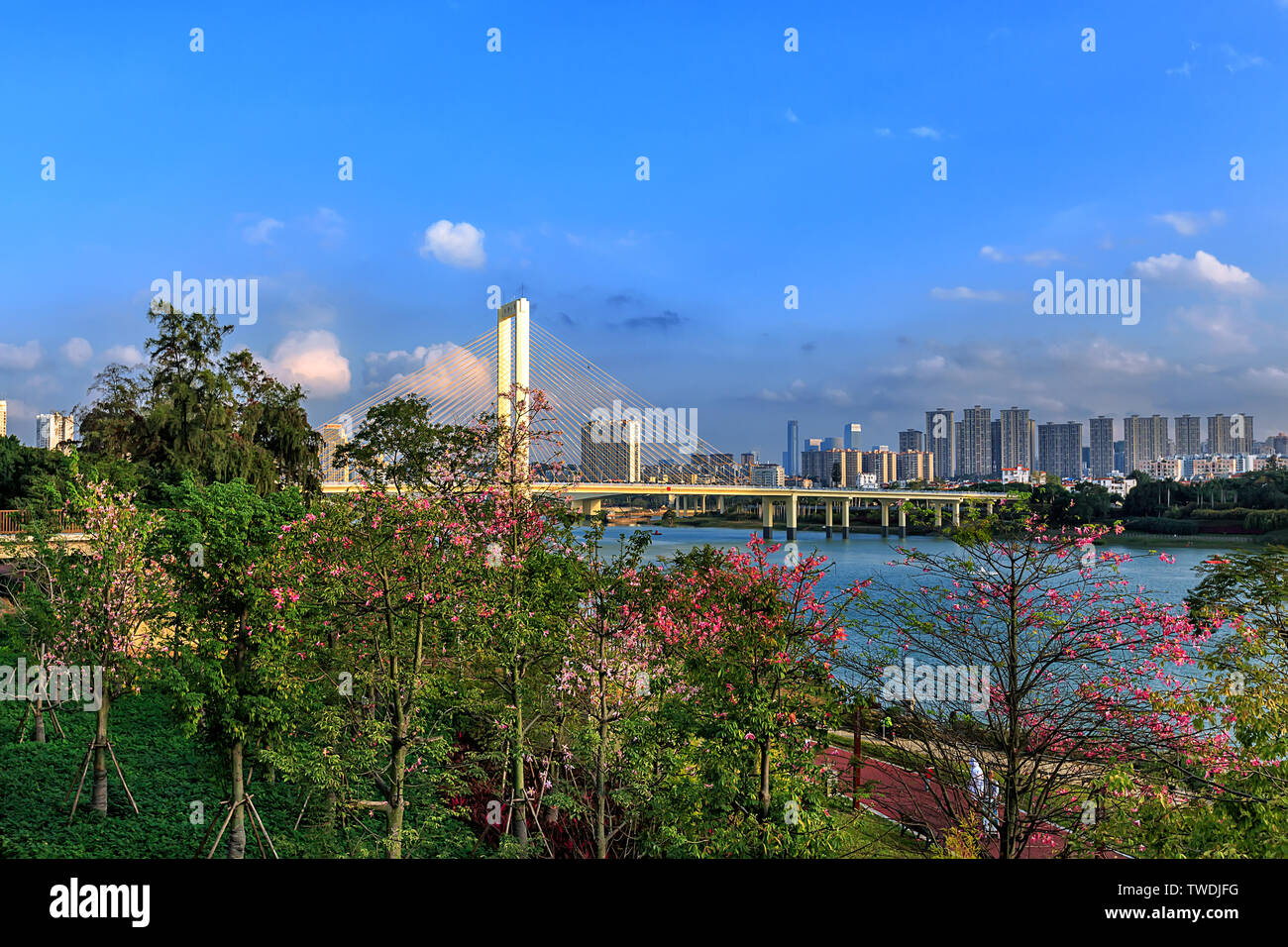 Skyline yongjiang hi-res stock photography and images - Alamy