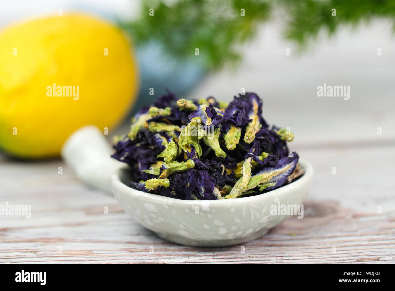 Butterfly bean flower tea blue butterfly flower Stock Photo - Alamy