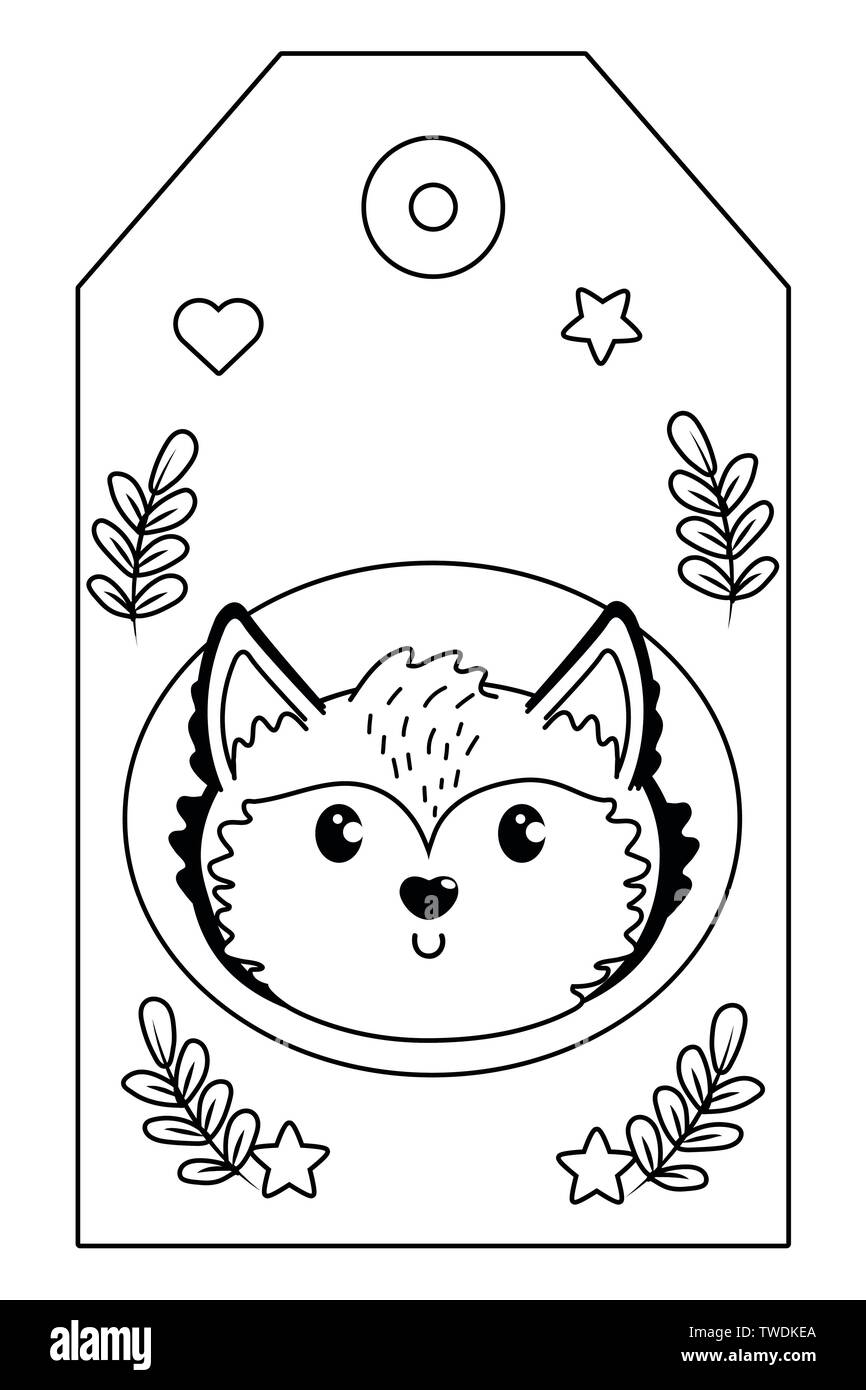 Fox cartoon design, Animal cute zoo life nature and fauna theme Vector ...