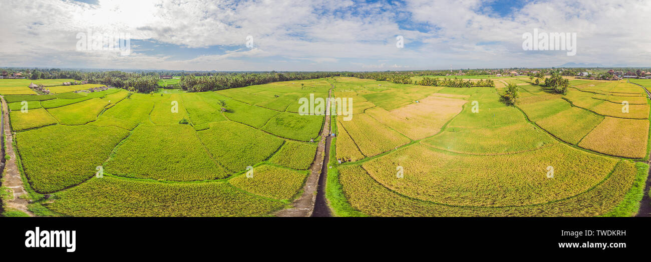 Image of beautiful Terraced rice field in water season and Irrigation ...