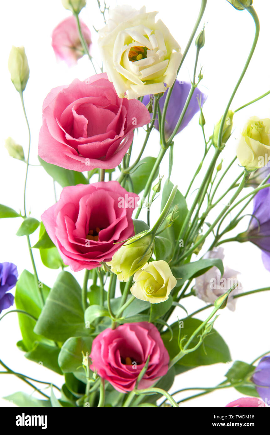 Beautiful flowers background, vertical composition Stock Photo - Alamy