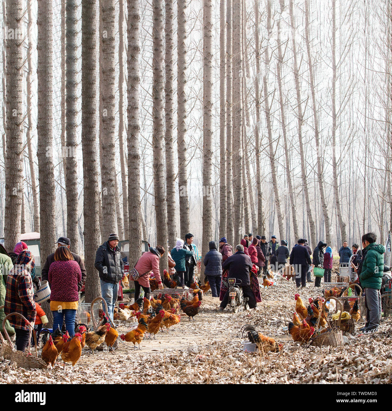 Rural people live Stock Photo - Alamy
