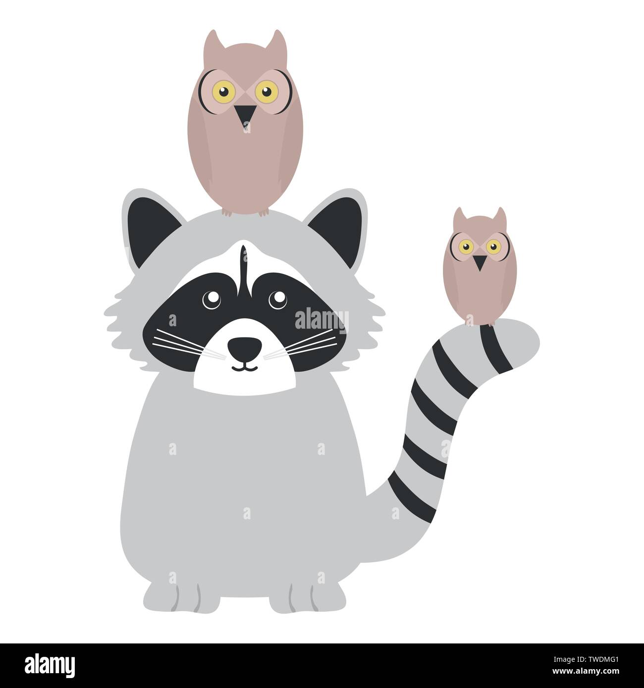 cute raccoon and owls birds woodland animals vector illustration design ...