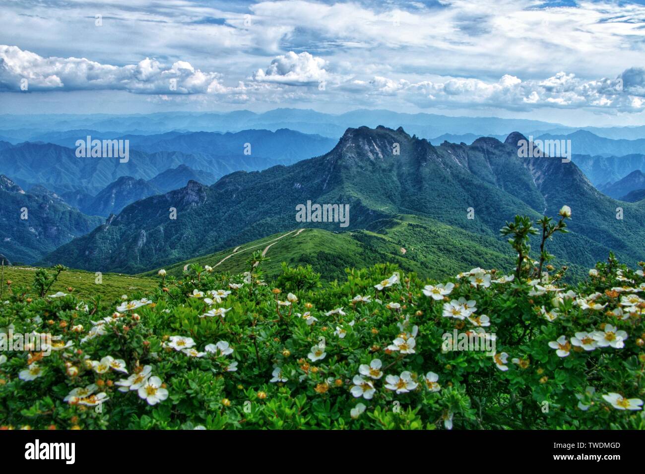Guangtou Mountain, Qinling Mountains Stock Photo - Alamy