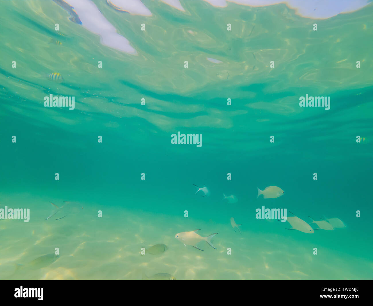 Marine tornado hi-res stock photography and images - Alamy