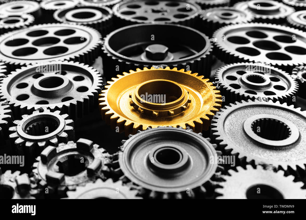 Keyman,key success or leadership concepts with metal gold cog ...