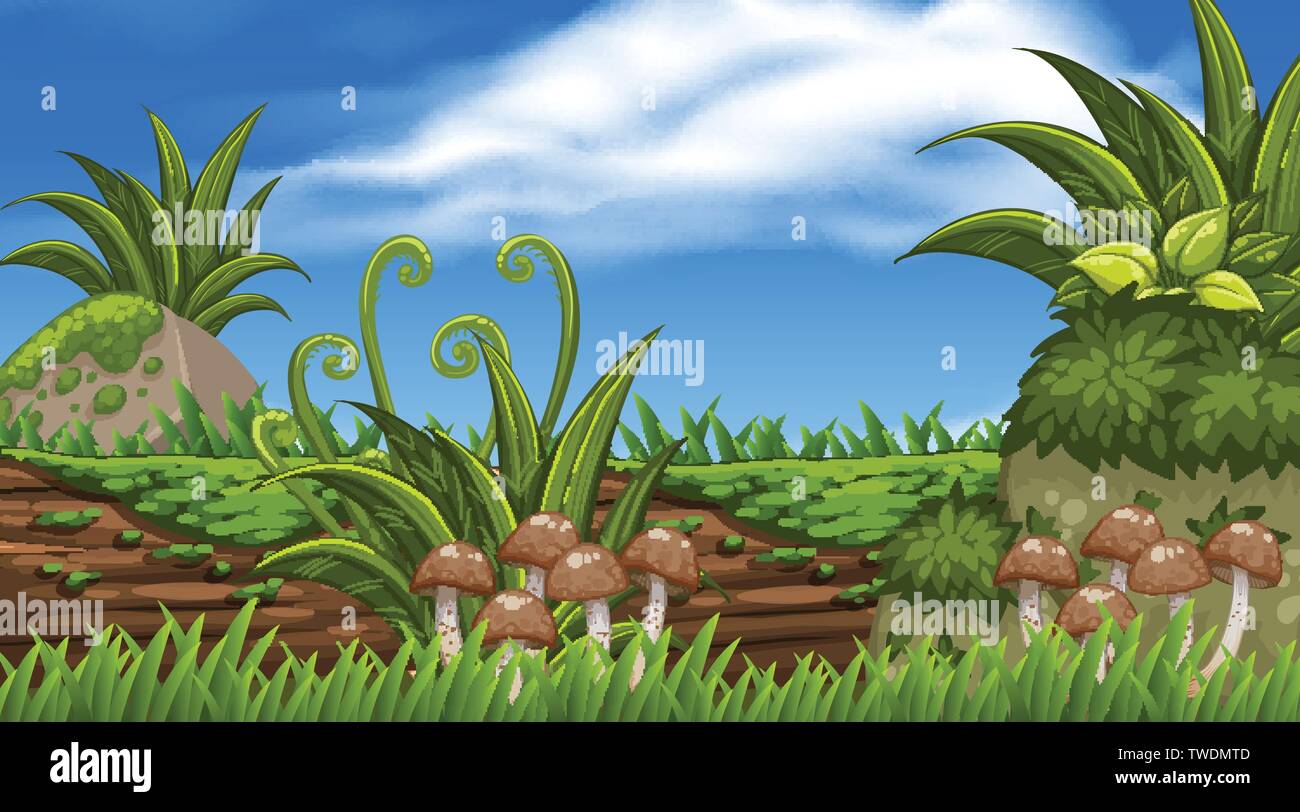 A nature landscape scene illustration Stock Vector Image & Art - Alamy